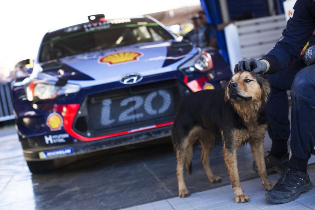 Previo y horarios del Rally de Argentina del WRC 2019