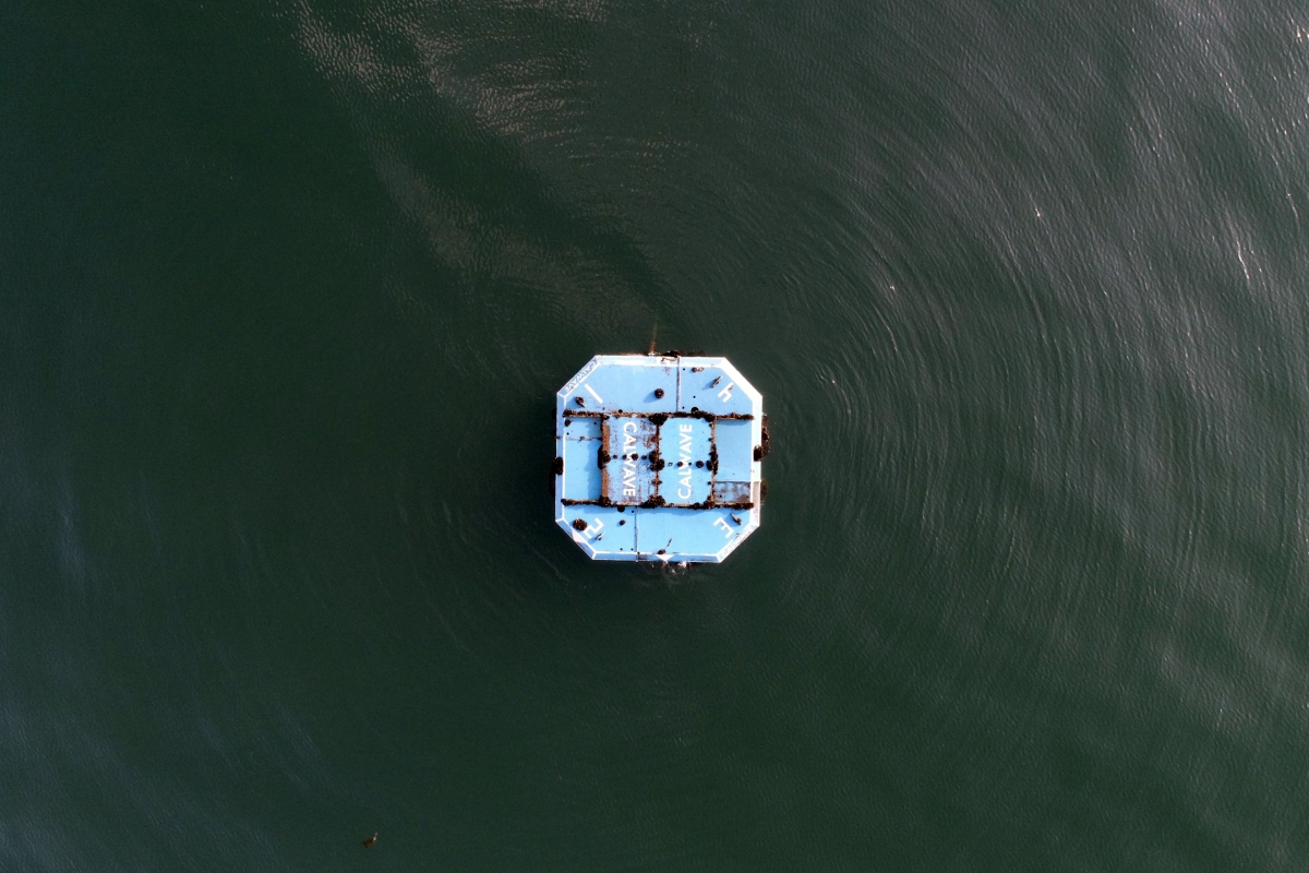 xWave, así es este prometedor intento de aprovechar el descomunal ...