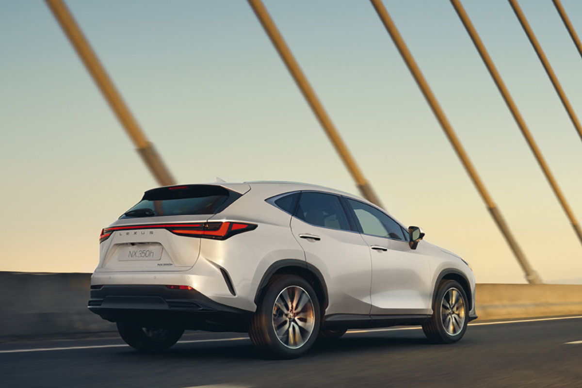 El Lexus NX estrena novedades, más equipamiento y nueva versión en el ...